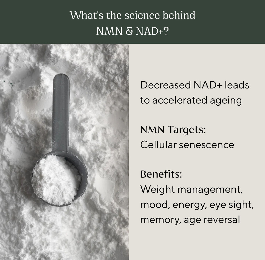 NMN 100% Pure & Stabilised (60 Capsules X 500mg) Third Party Tested