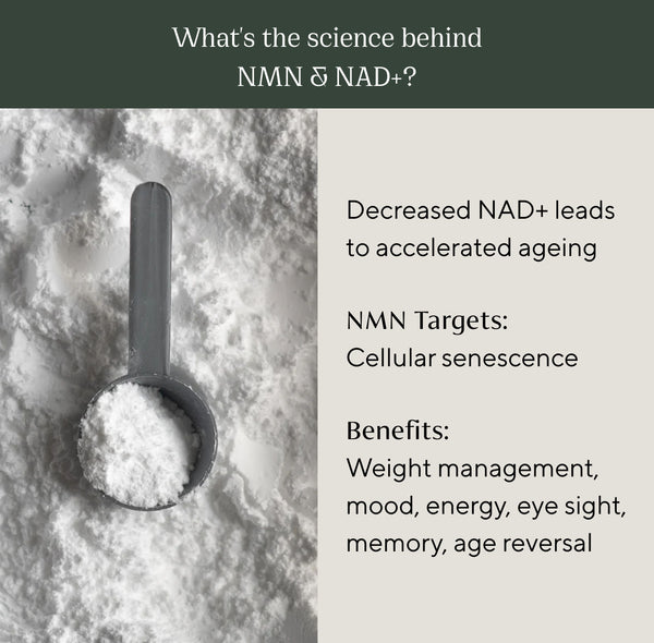 NMN 100% Pure & Stabilised (60 Capsules X 500mg) Third Party Tested